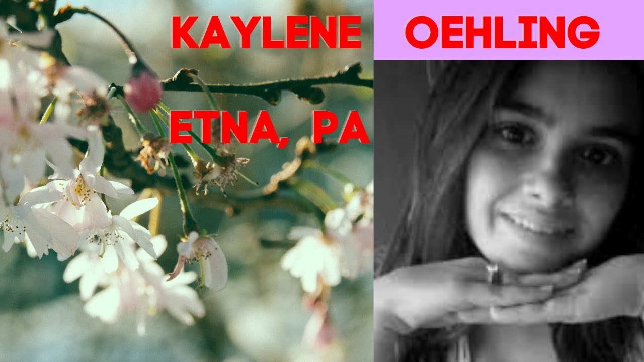 234 | The Disappearance of Kaylene Marie Oehling: Preying On - YouTube