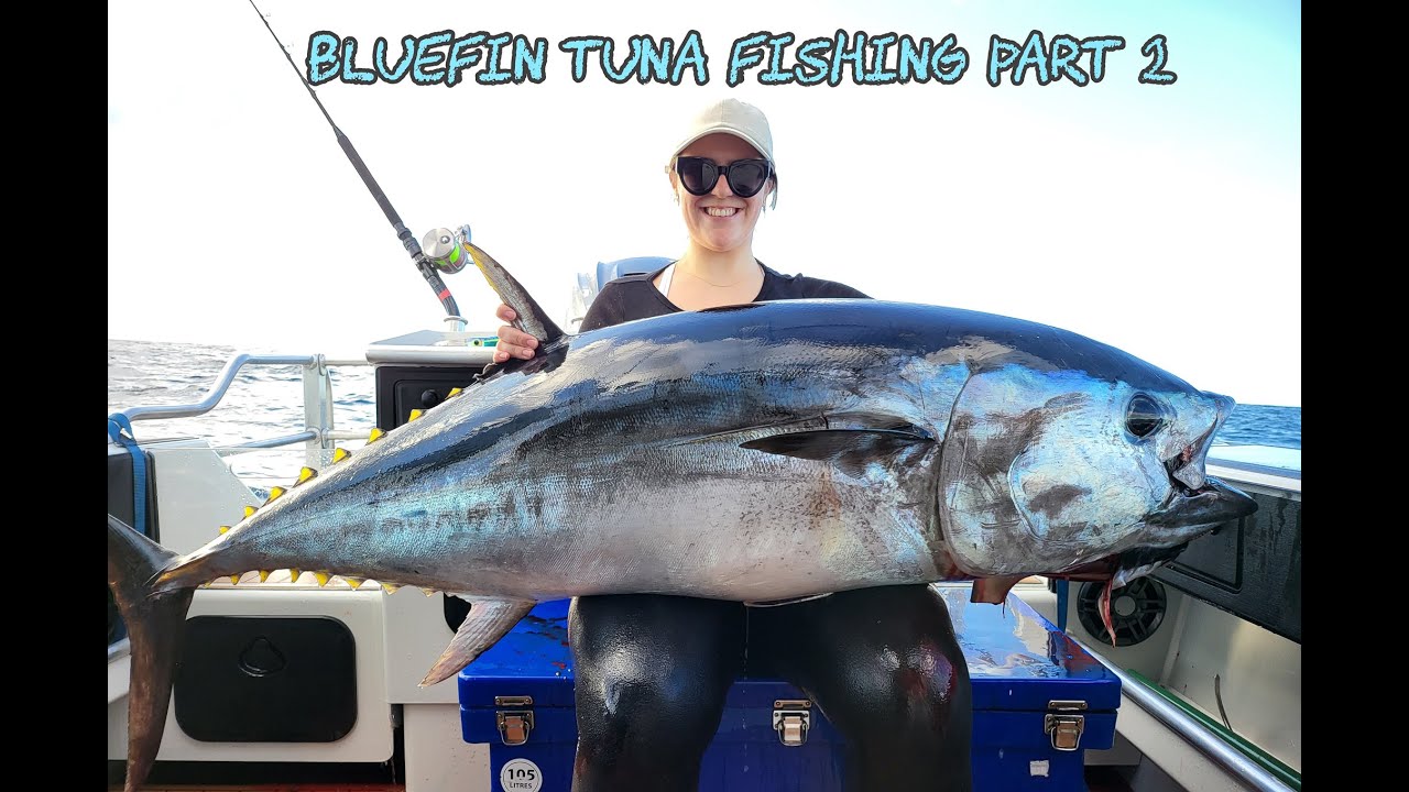 Bluefin fishing trip part2 - YouTube