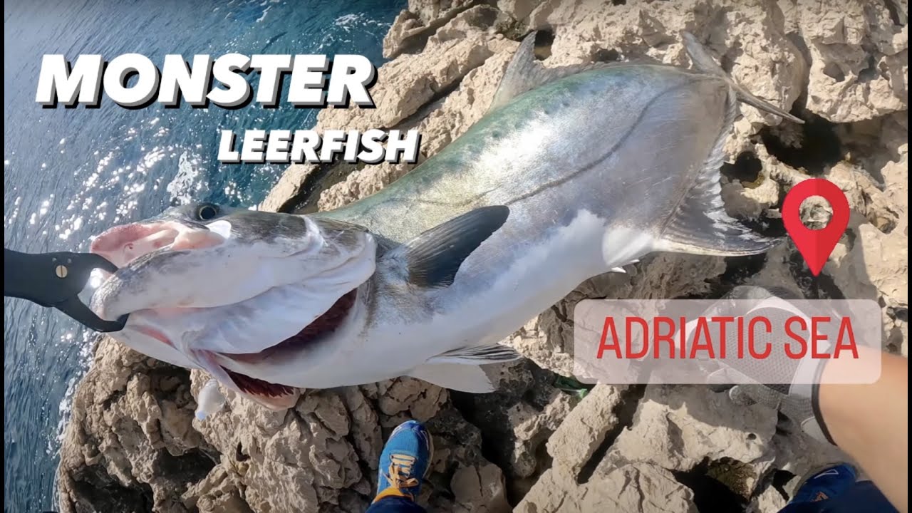 TFC: The Adriatic Adventures Part 2 - The GIANT Leerfish - - YouTube