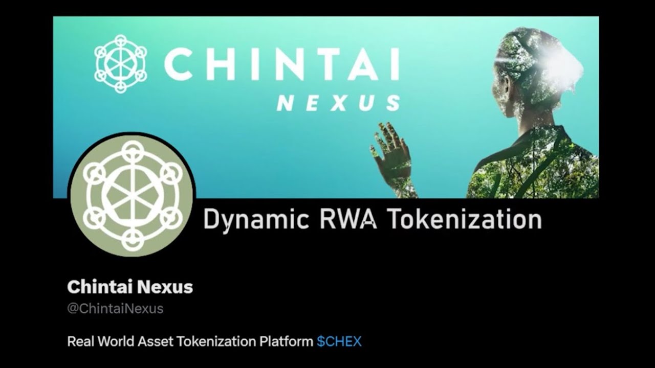 Chintai Nexus Dynamic Real World Asset RWA Tokenization In Action - YouTube
