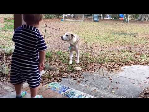 Merve Tezel Komik Kediler