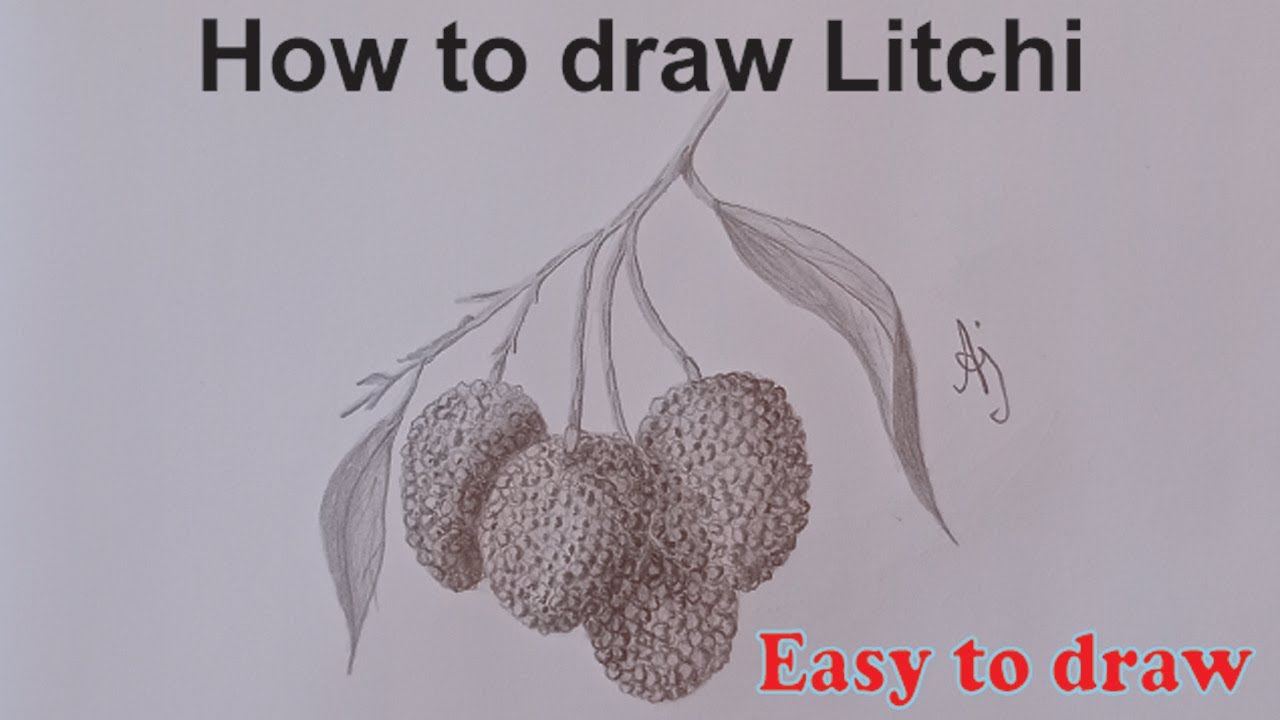How to Draw a Realistic litchi | Easy Step-by-Step Tutorial - YouTube