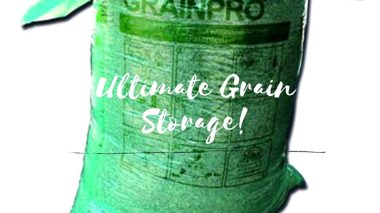 How to safely store your grains for 3+ years (Instructional Video ...