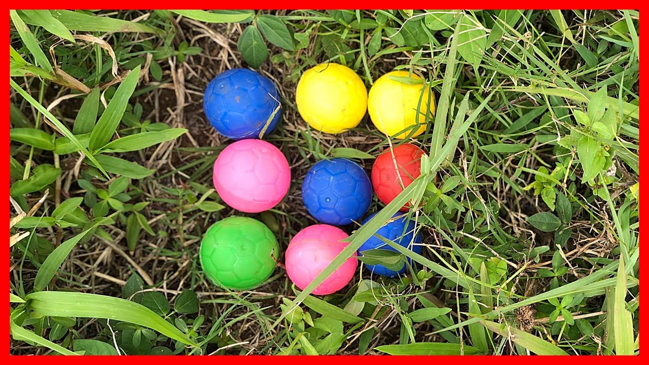 BERBURU TELUR MAINAN DISAWAH, DAPAT ULAR BESAR, KURA-KURA, SEMUT BESAR ...