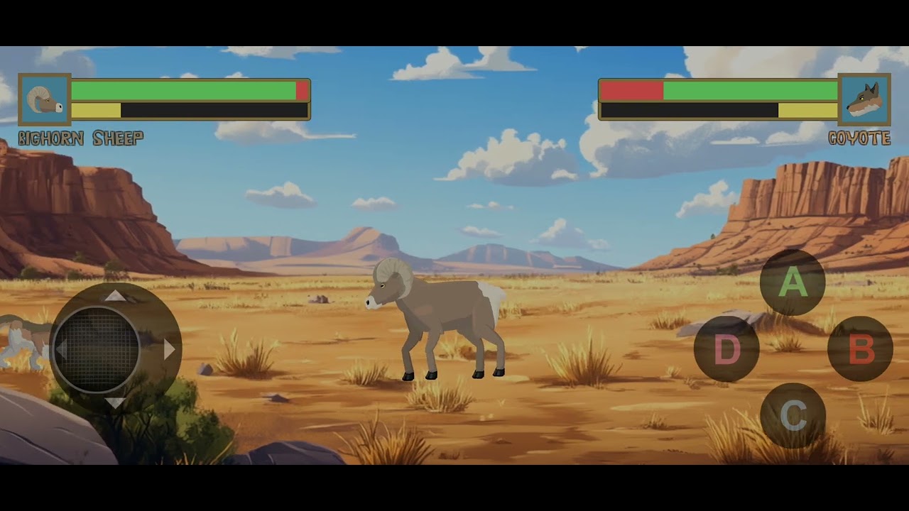 Bighorn Sheep 🆚 Coyote - YouTube