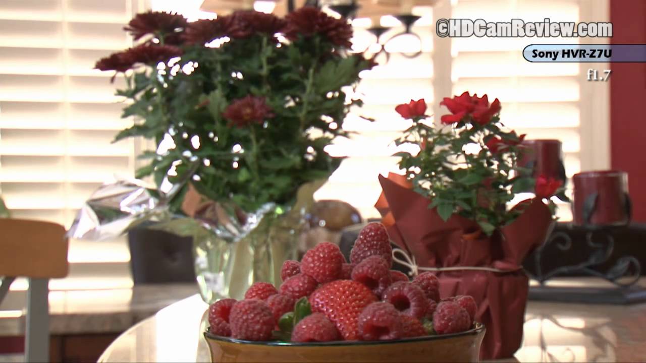 Sony hvr-z7u depth of field test with fruit and flowers. - YouTube