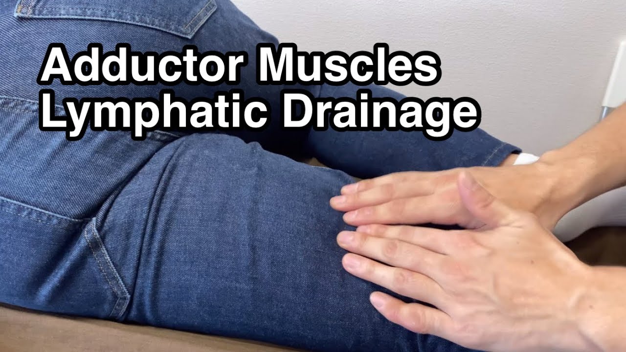 Lymphatic drainage for adductor muscles - YouTube
