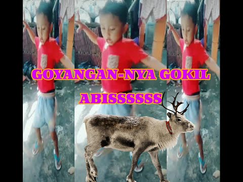 GOYANG TIK TOK YANG LAGI HITS BOCIL | TERBARU 2020