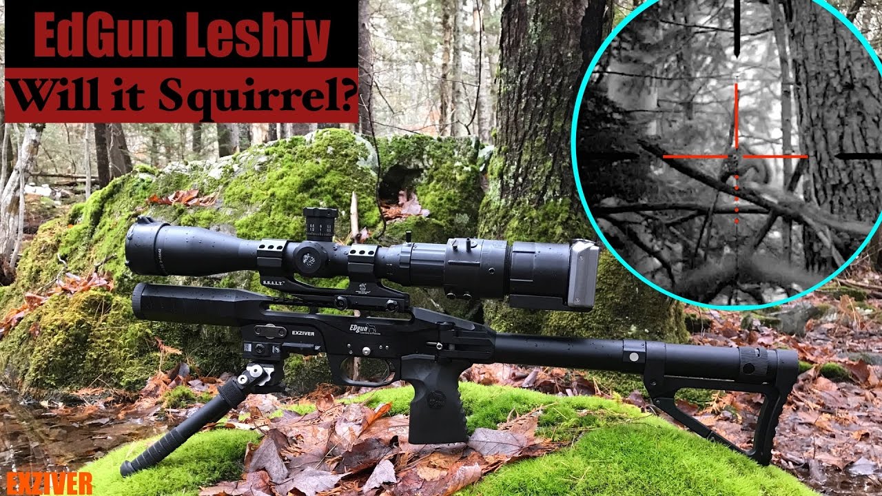 Airgun Hunting (EdGun Leshiy) Will it Squirrel? - YouTube