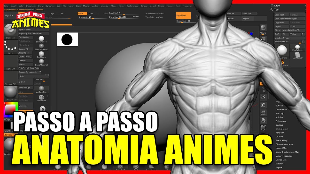 🛑ANATOMIA PARA ANIMES | ZBRUSH PARA ANIMES - YouTube