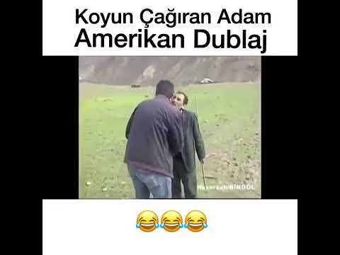Koyunlarla konuşan Çoban-Amerikan dublaj