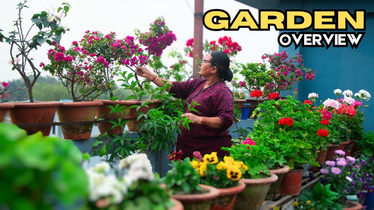 Beautiful Garden Overview | A Relaxing Tour of Nature’s Beauty ...