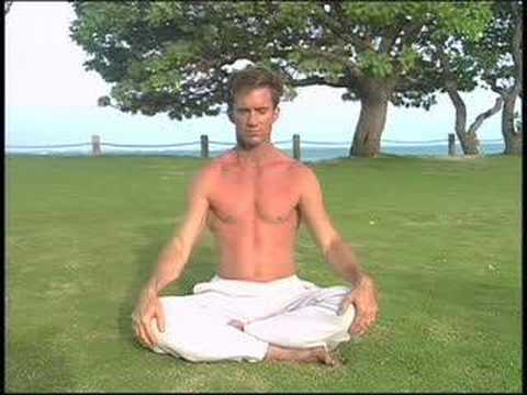 Discover Tai Chi Meditation with Scott Cole - YouTube