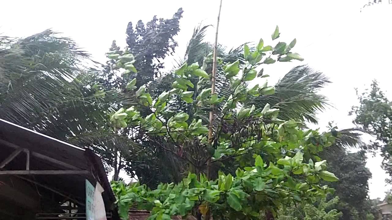 Camansi Cebu rainfall view from overhead cover - Philippines ...