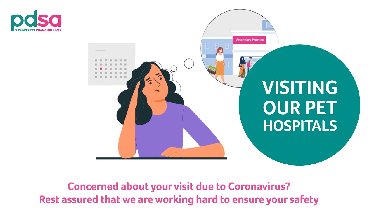 PDSA: Visiting our Pet Hospitals - YouTube
