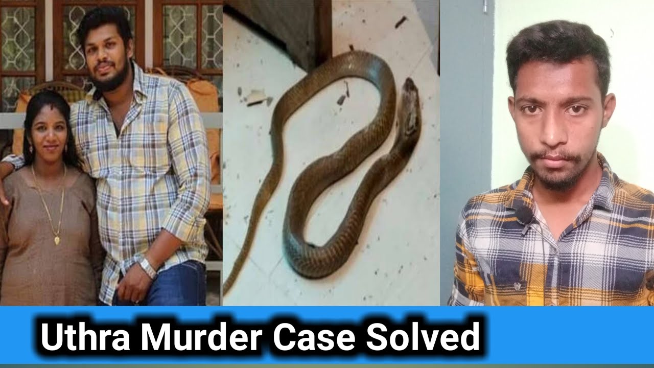 Uthra Snakebite Murder Case | Tamil | Mohamed Fazil M - YouTube