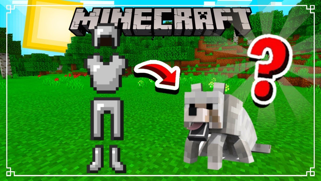 🔥COMO TER MOD DE ARMADURA PARA SEU CACHORRO NO MINECRAFT PE ️ - YouTube