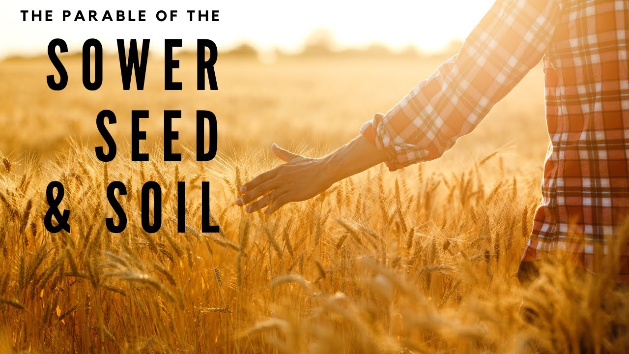 Parable of the Sower, the Seed, and the Soil - YouTube