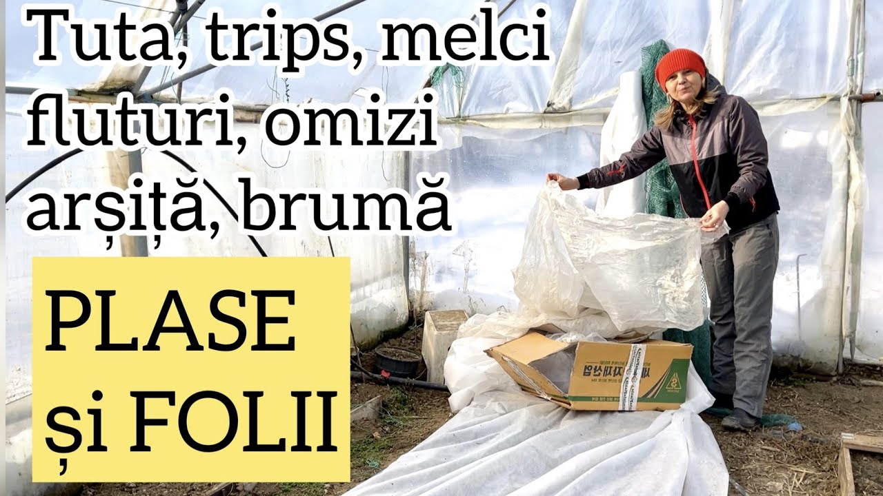 PLASE SI FOLII sau cum scapam de insecte daunatoare, arsita si frig in ...
