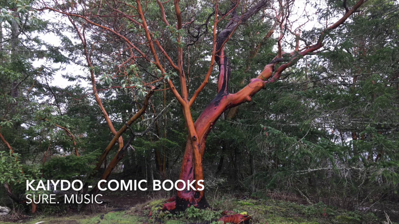 Kaiydo - Comic Books - YouTube