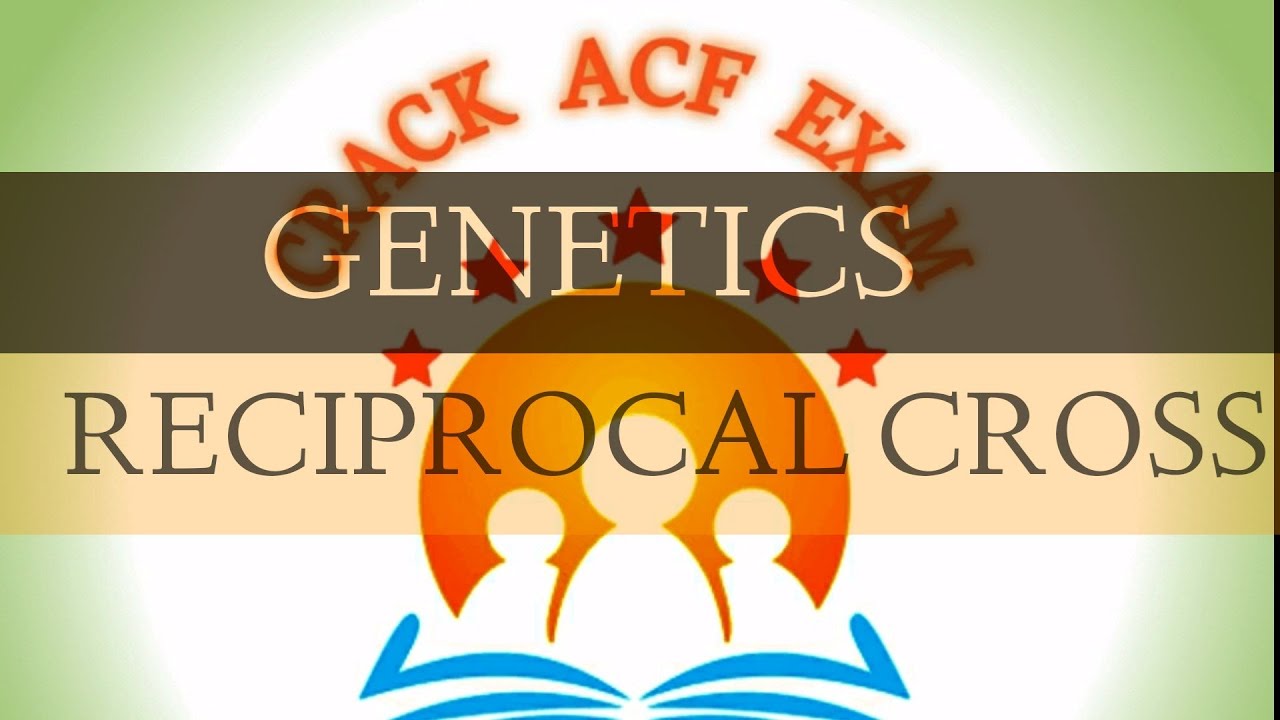 Reciprocal Cross | Genetic | Acf Zoology | Zoology Classes | MScZoology ...