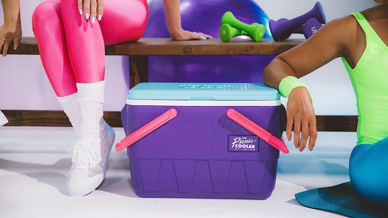 Igloo 25 Quart Full Sized Picnic Basket Cooler | $100k Bonuses in ...