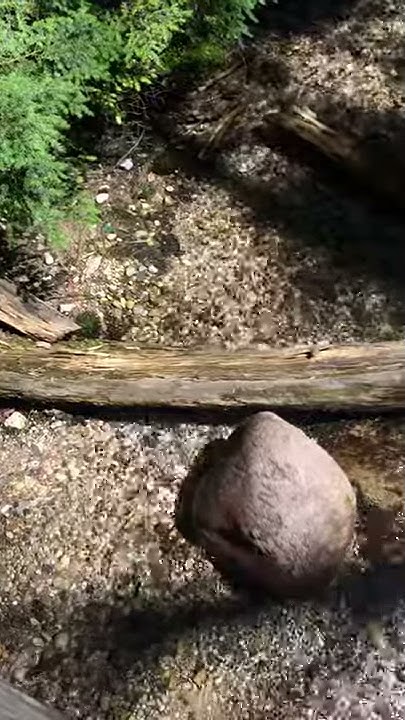 Iargo Springs - YouTube