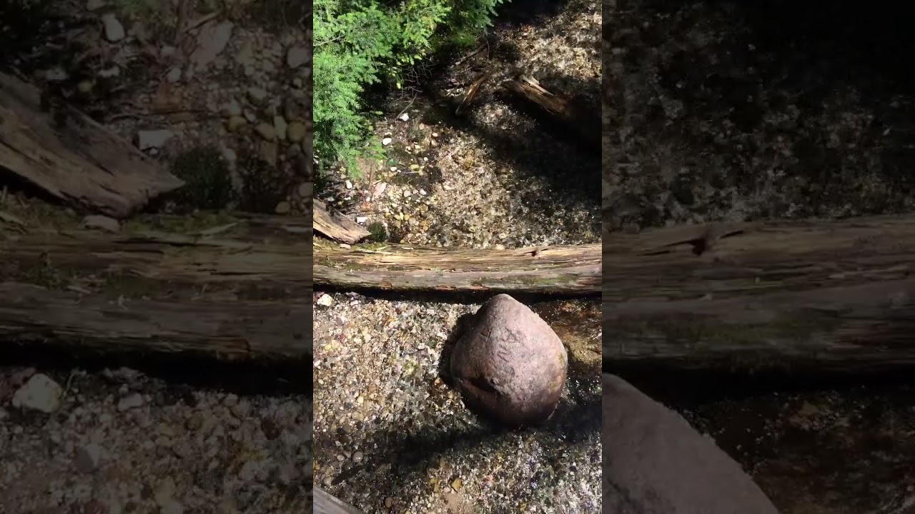 Iargo Springs - YouTube