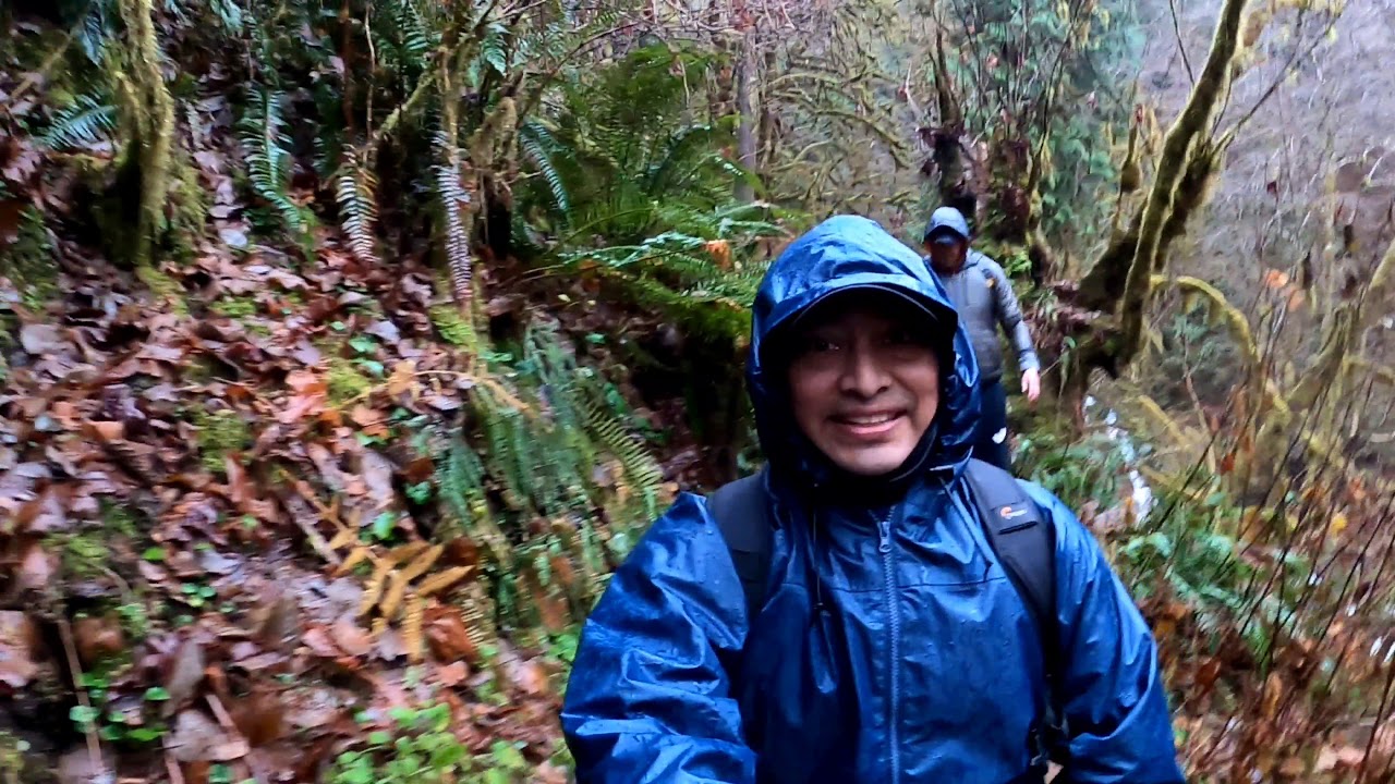 Sweet creek falls. Siuslaw River. Mapleton, Oregon - YouTube