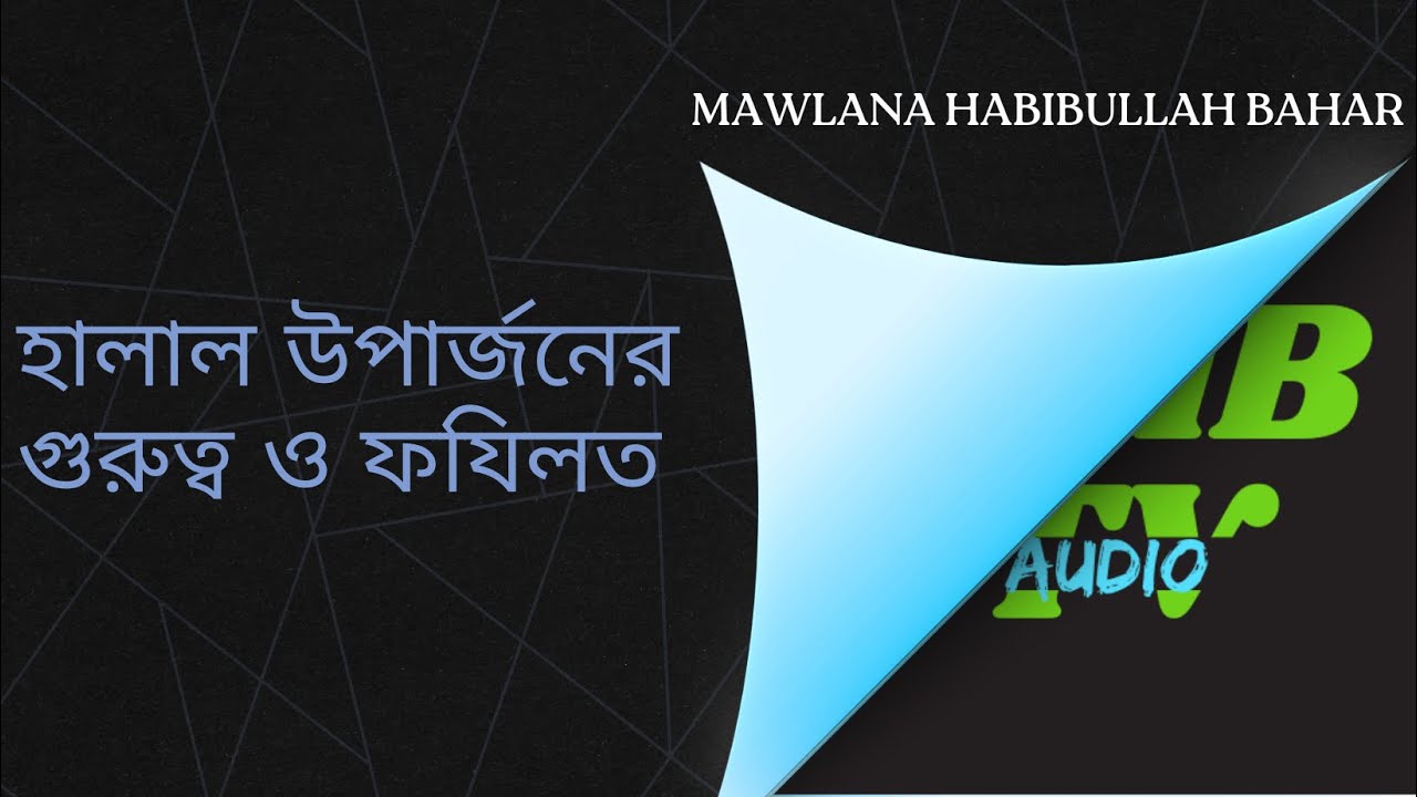 হালাল উপার্জনের গুরুত্ব ও ফযিলত || Mawlana Habibullah Bahar || MHB TV Audio... - YouTube