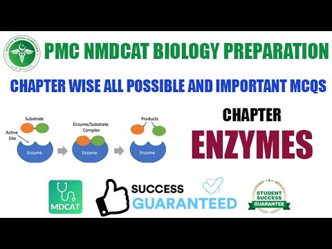 Biology Chapter Enzymes MCQs for PMC NMDCAT | MDCAT Preparation ...