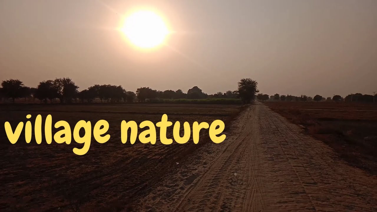 The Beauty Of Rural Nature In The Evening | nature video- wildlife ...