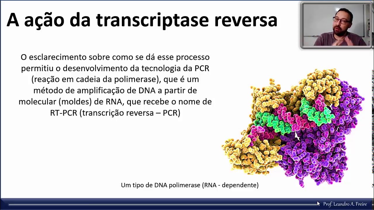 O Que é Transcriptase Reversa - RETOEDU