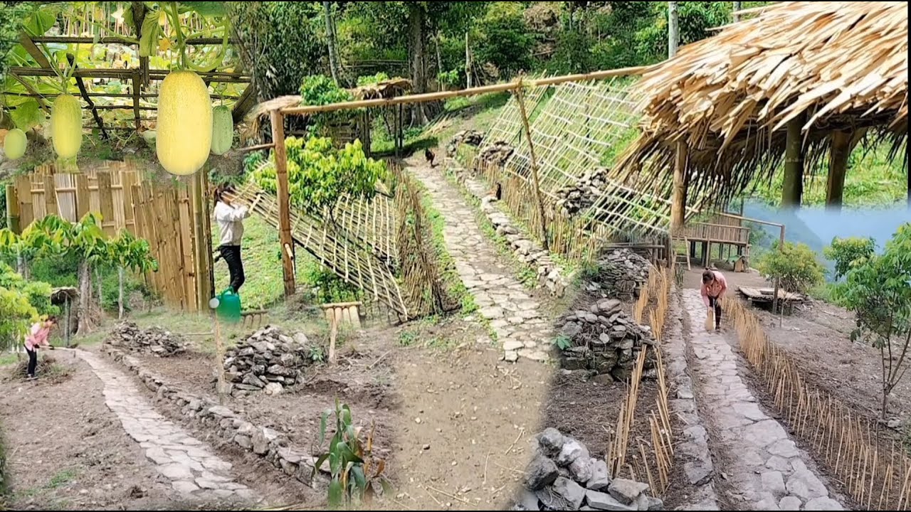 Full video on farm gardening Build a peaceful life - be at ease / Live ...