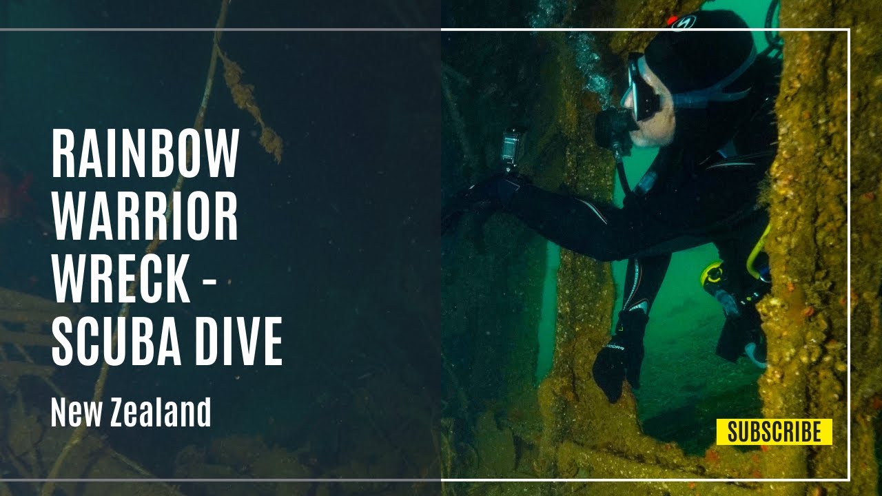 Exploring the Rainbow Warrior Wreck in New Zealand ⚓️ - YouTube