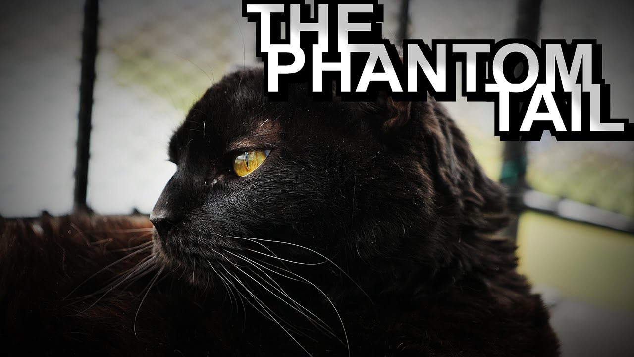 The Phantom Tail - YouTube