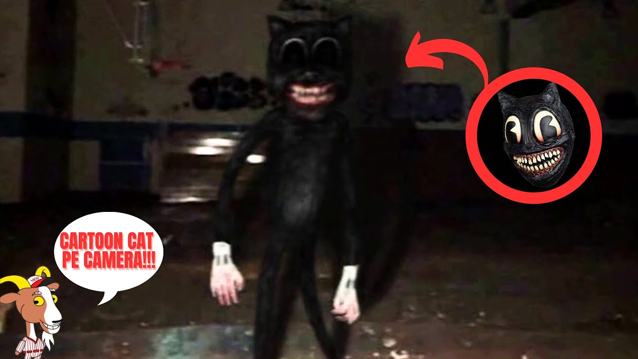 CARTOON CAT PRINS pe CAMERA la 1 DIMINEATA !!! - YouTube