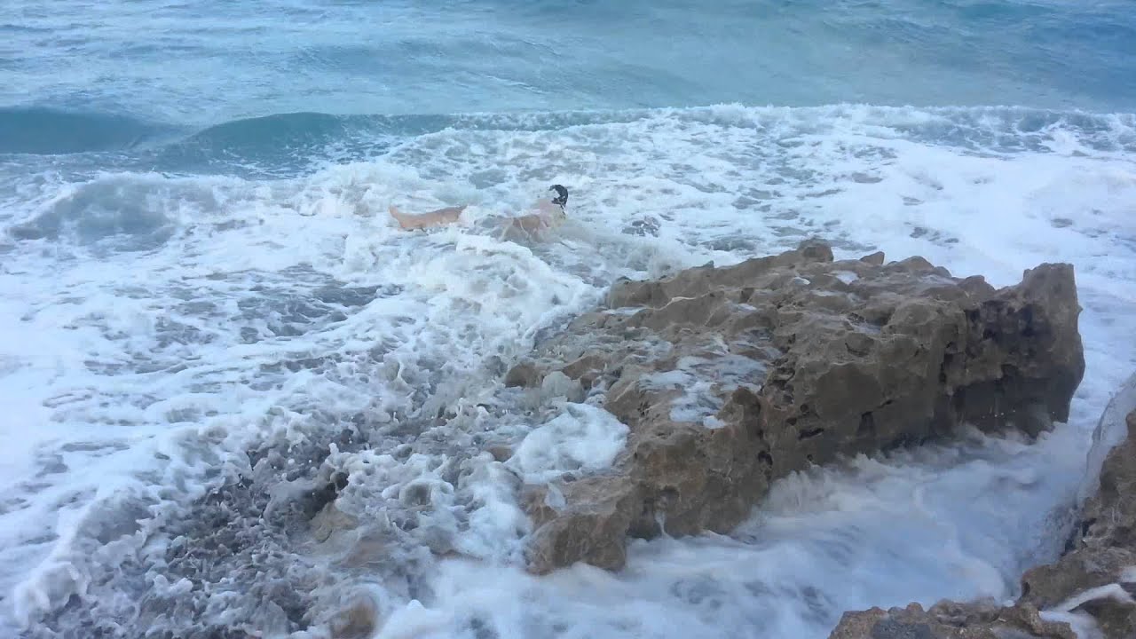 The Little Mermaid Fail - YouTube