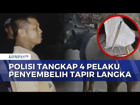 Begini Tampang Pelaku Penyembelih Tapir Langka, 4 Orang Ditangkap dan 2 Masih Diburu!