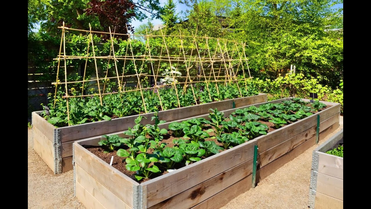 Tipurile de straturi in gradina. - YouTube