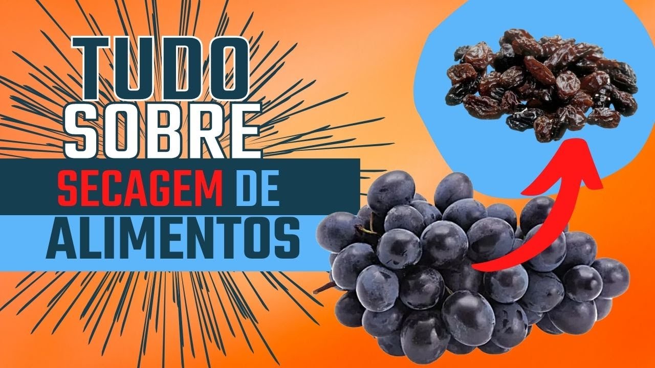 SECAGEM DE ALIMENTOS - Vantagens e Desvantagens dos métodos natural e ...