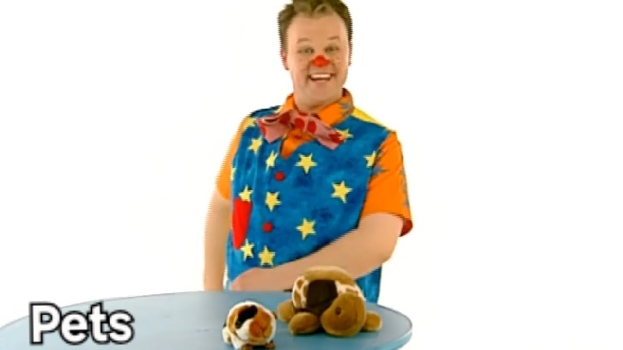Pets - Mr Tumble (Series 1, Episode 2) - YouTube