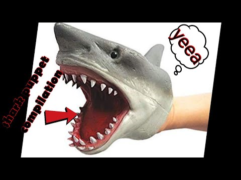 Shark puppet compilation part 3 - YouTube