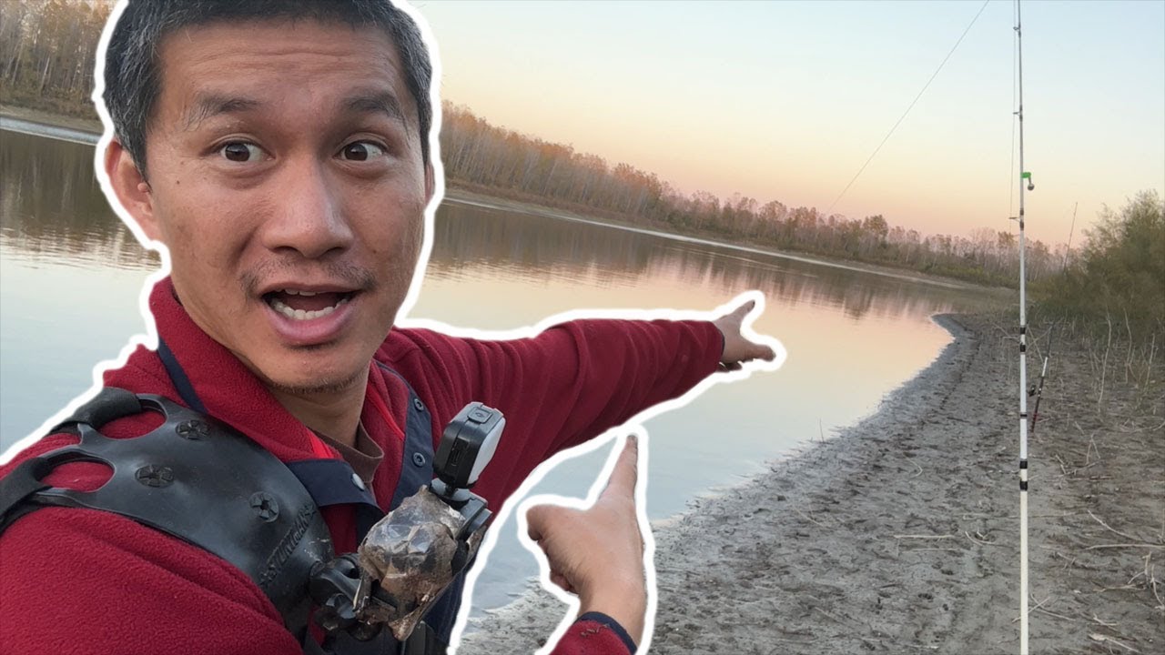 Big Flathead at River's Edge - YouTube