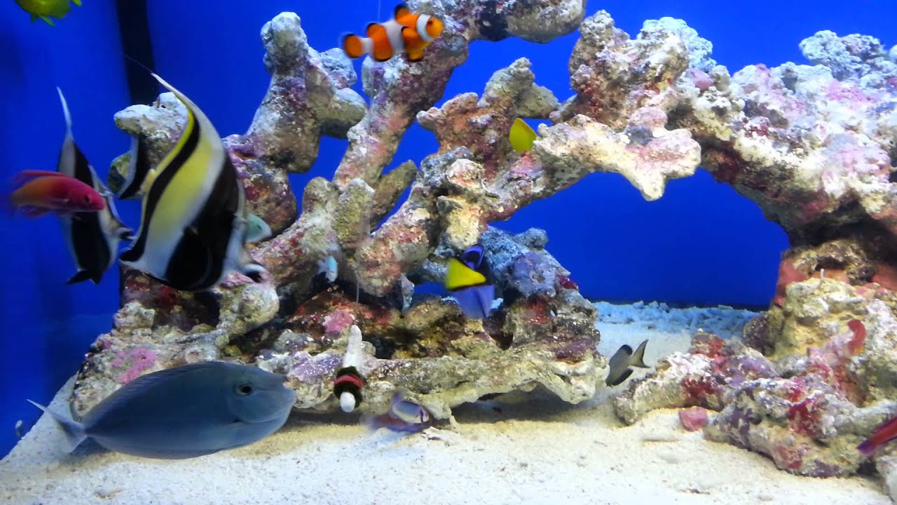 Fowler tank - YouTube