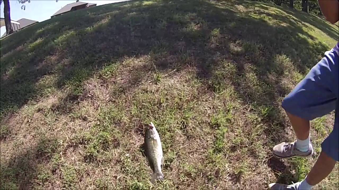 Catching a Kentucky spotted bass out of a pond!!! - YouTube