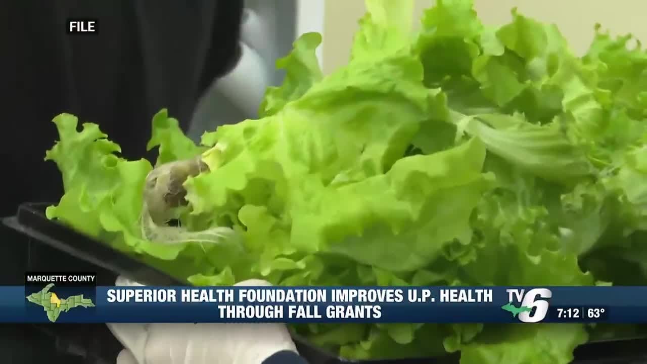 Superior Health Foundation improves UP health through fall grants - YouTube