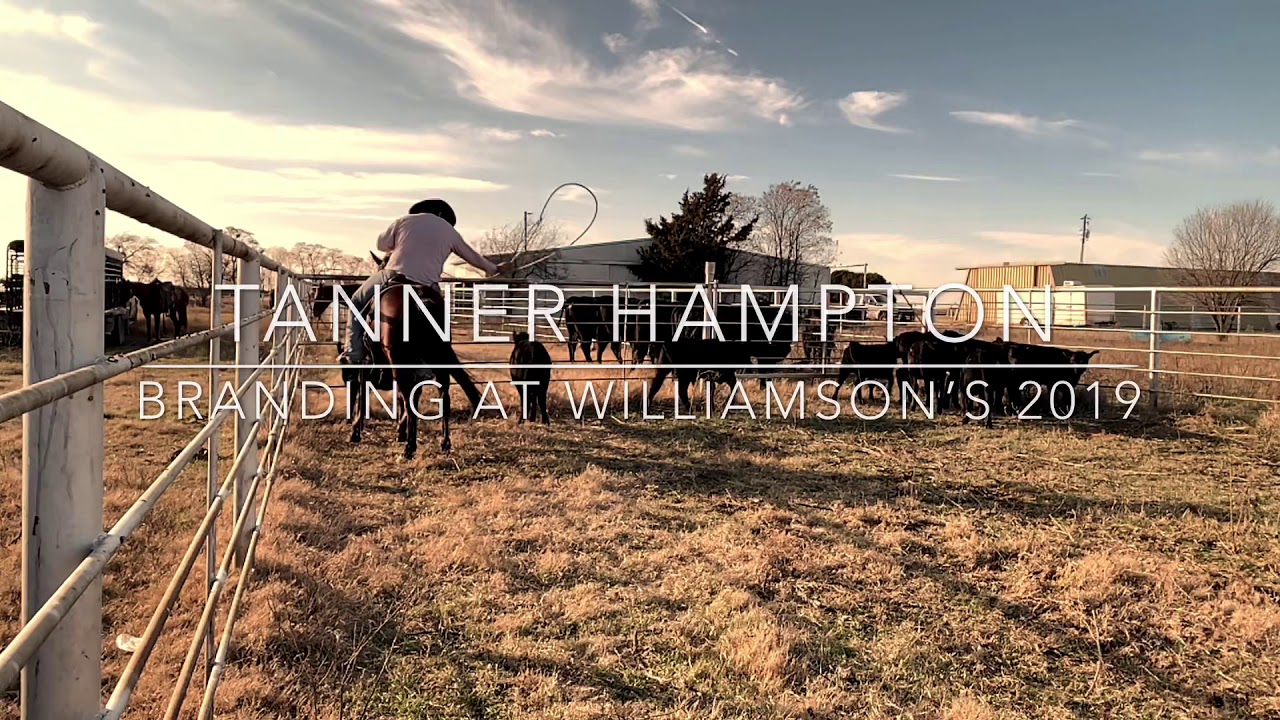 Tanner Hampton dragging calves - YouTube