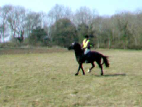 horse bolting/bucking - YouTube