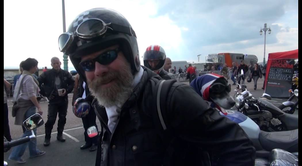 Back Pack Bike Dog Loves Riding Pillion - YouTube